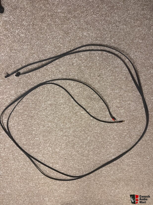 Naim audio speaker cable 30' (2 x15') For Sale - Canuck Audio Mart