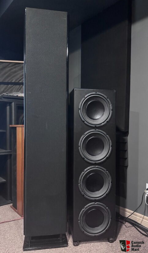 VMPS RM40 (Ribbon Monitor 40) Speakers Photo #5808342 - Canuck Audio Mart