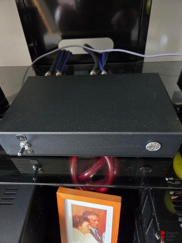 Pine tree APSX-2NL amp selector switch Photo #5817887 - Canuck Audio Mart