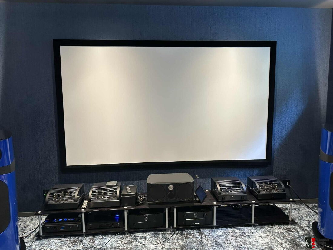 Dragonfly screen projection 133 For Sale - Canuck Audio Mart