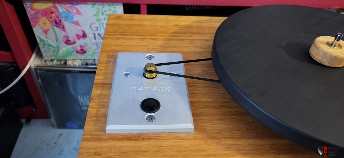 Tri-Art Audio TA-1 Turntable Bamboo Construction Made In Canada ...