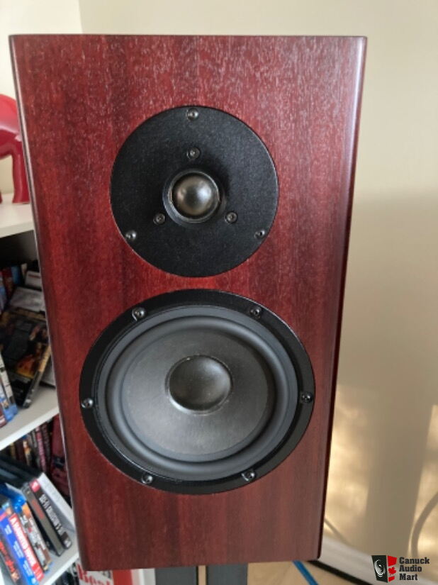 Totem Tabu // Beautiful Mahogany finish // Looking to try other high ...