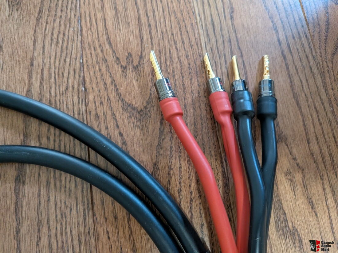 1 pair of bi-wire Speaker Cables Canare 4S11 (Japan) - 7 feet long For ...