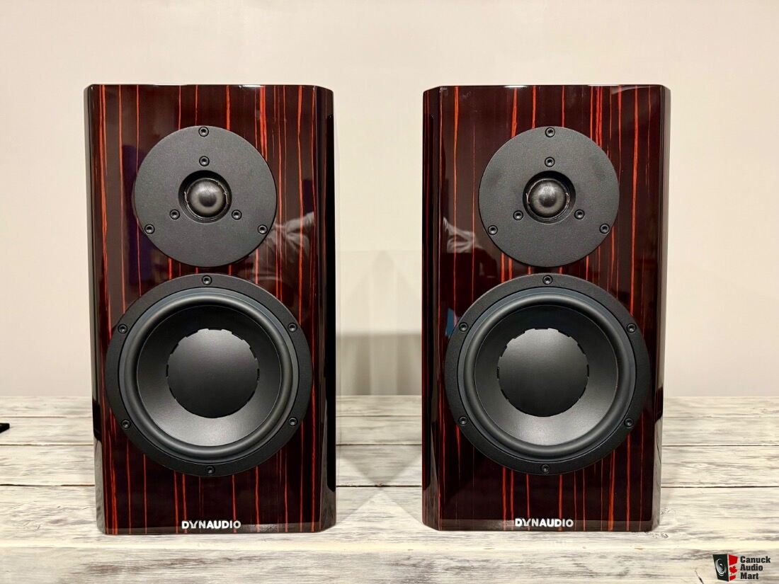 Dynaudio Special 40 Photo 5843270 Canuck Audio Mart Dynaudio Special 40 Photo 5843270 Canuck Audio Mart