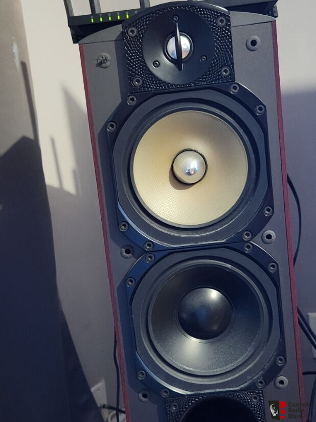 Paradigm Studio 60 v3 dark cherry Photo #5843490 - Canuck Audio Mart