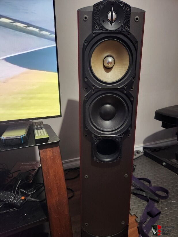 Paradigm Studio 60 v3 dark cherry Photo #5843490 - Canuck Audio Mart