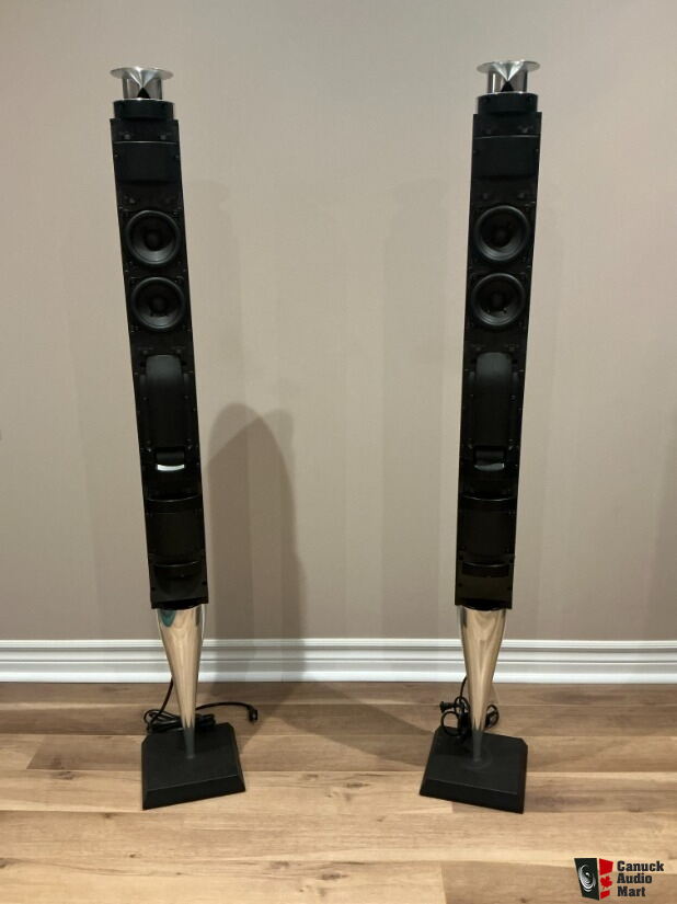 BANG & OLUFSEN BeoLab 18 Wireless Speakers Photo #5845367 - Canuck ...