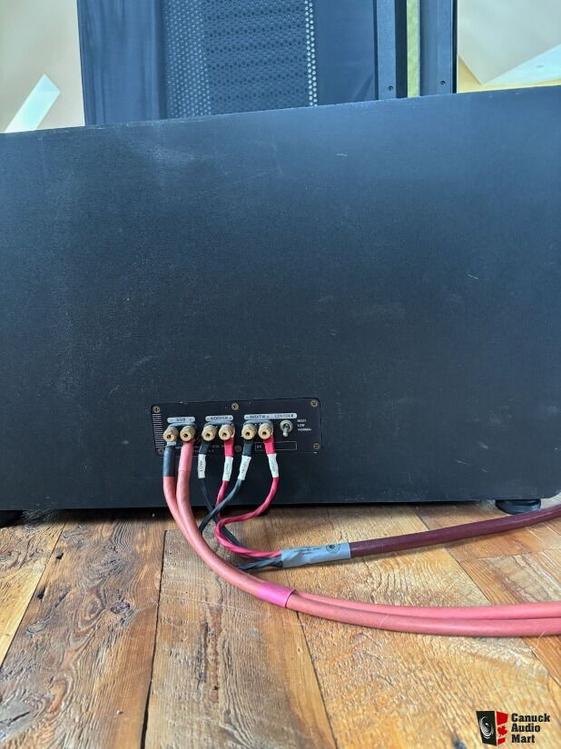 Apogee Acoustics Studio Grand with Subwoofers Photo #5848581 - Canuck ...