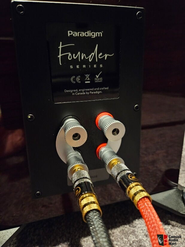 Paradigm Founder 100F Floorstanding Speakers Photo #5850636 - Canuck ...