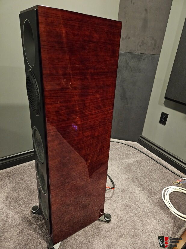 Paradigm Founder 100F Floorstanding Speakers Photo #5850636 - Canuck ...