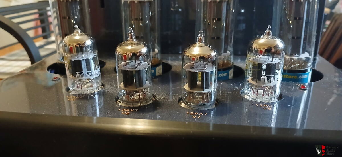 PrimaLuna EVO 100 Integrated amplifier *Sale pending to Bruce Photo ...