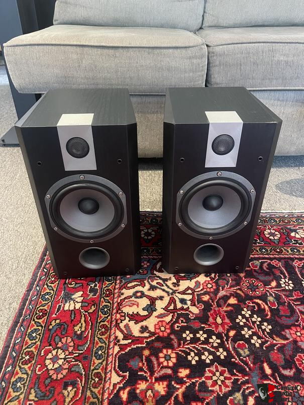 Focal Chorus 706V Dealer Ad - Canuck Audio Mart