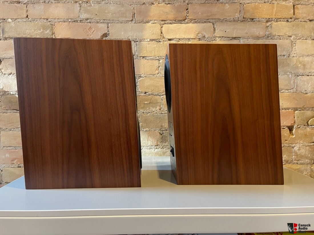 Buchardt A500 Active Speakers + Platin Hub - Very Good Condition (2021 ...