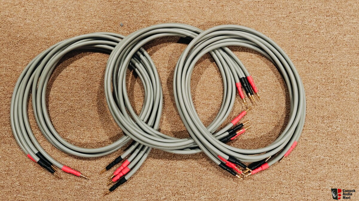 Japan-made Canare 4S11G (Oxygen Free Copper) 8AWG Shotgun Run Speaker ...