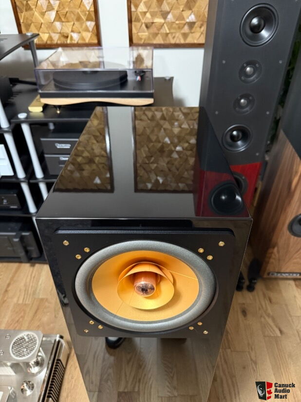 Cube Audio NENUPHAR V2 10" Inches Black Gloss Photo #5861842 - Canuck ...