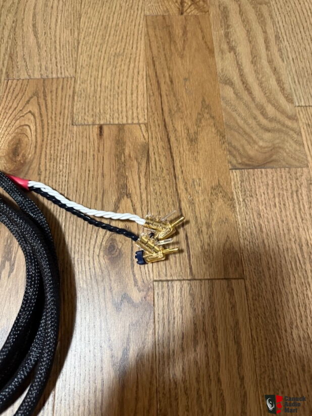 Totem Acoustic Bi-Wire Cables 10FT Pair Photo #5862202 - US Audio Mart