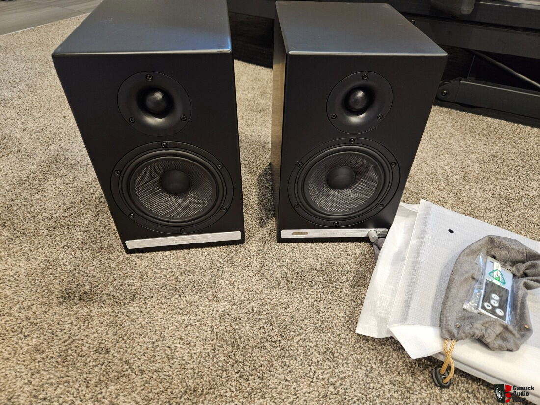 Audioengine HD6 powered wireless speakers Photo #5879346 - US Audio Mart