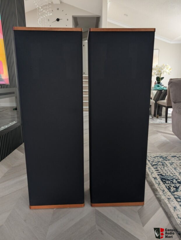 Vandersteen model 3 floor standing speakers like new condition Photo ...