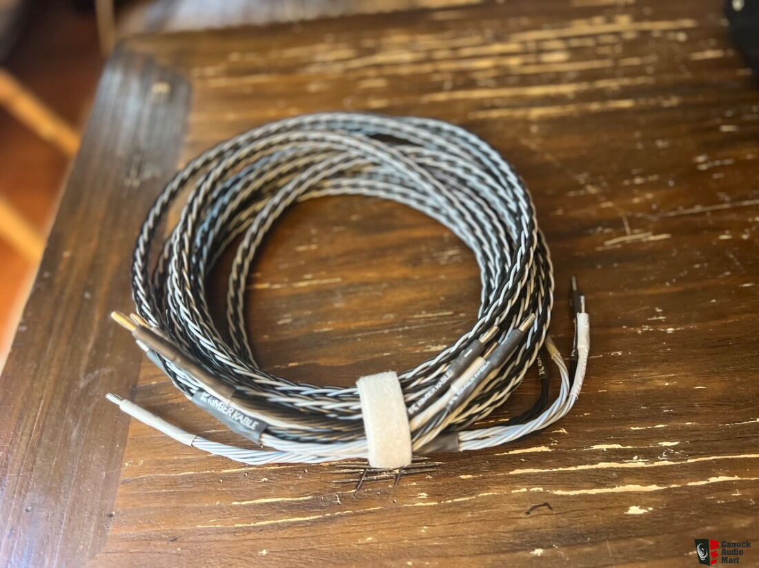 Kimber Kable 8VS Bi-Wire Speaker Cables - 10ft Pair Photo #5889353 ...