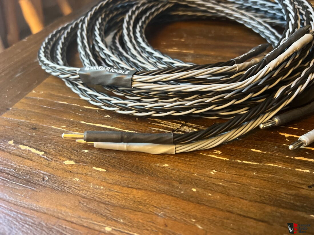 Kimber Kable 8VS Bi-Wire Speaker Cables - 10ft Pair Photo #5889353 ...