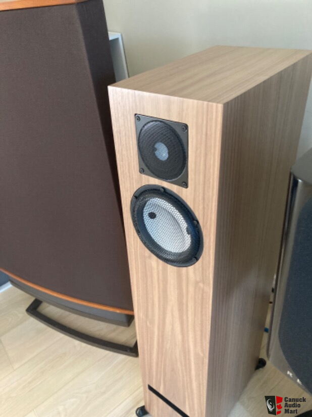 Accuton drivers in custom transmission line cabs designed by TFLO ...