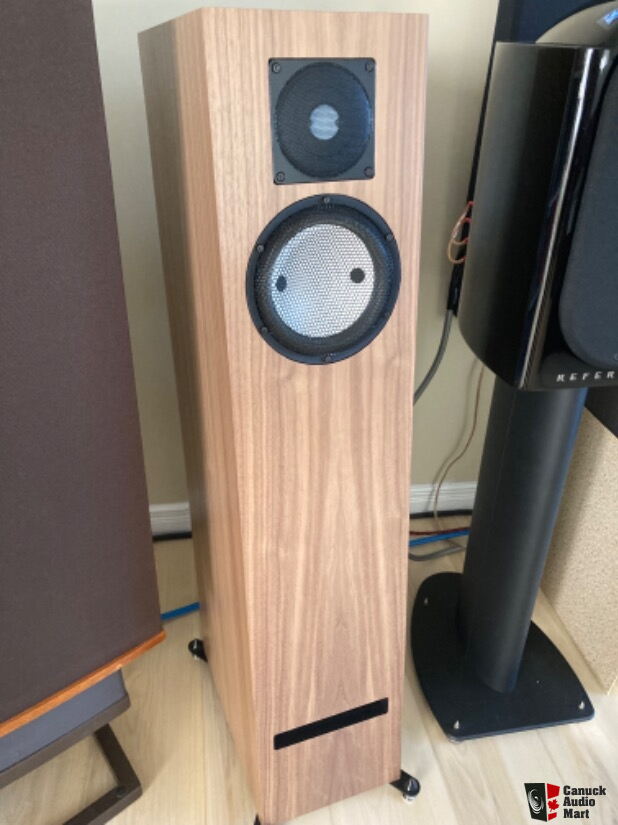 Accuton drivers in custom transmission line cabs designed by TFLO ...