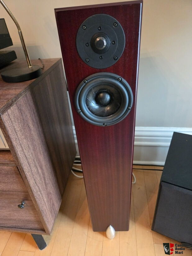 Totem Hawk Floorstanding Speakers Photo #5897709 - Canuck Audio Mart