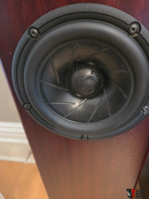 Totem Hawk Floorstanding Speakers Photo #5897708 - Canuck Audio Mart