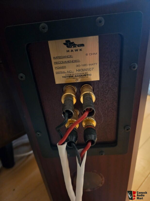 Totem Hawk Floorstanding Speakers Photo #5897709 - Canuck Audio Mart