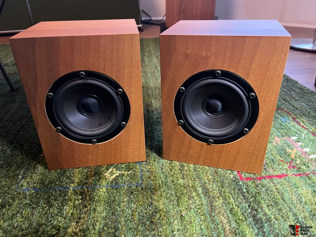 Trenner & Friedl Sun speakers for sale Photo #5902189 - Canuck Audio Mart