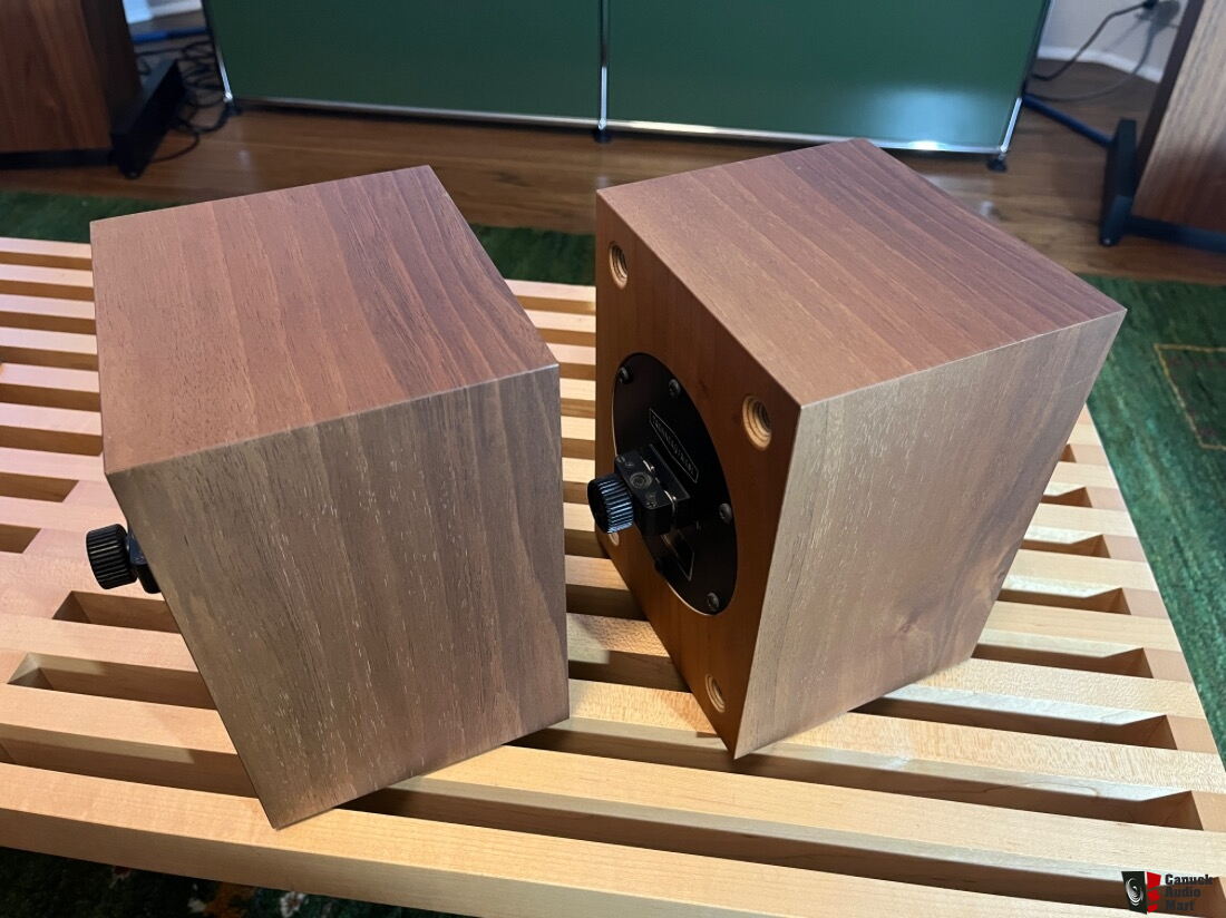 Trenner & Friedl Sun speakers for sale Photo #5902189 - Canuck Audio Mart