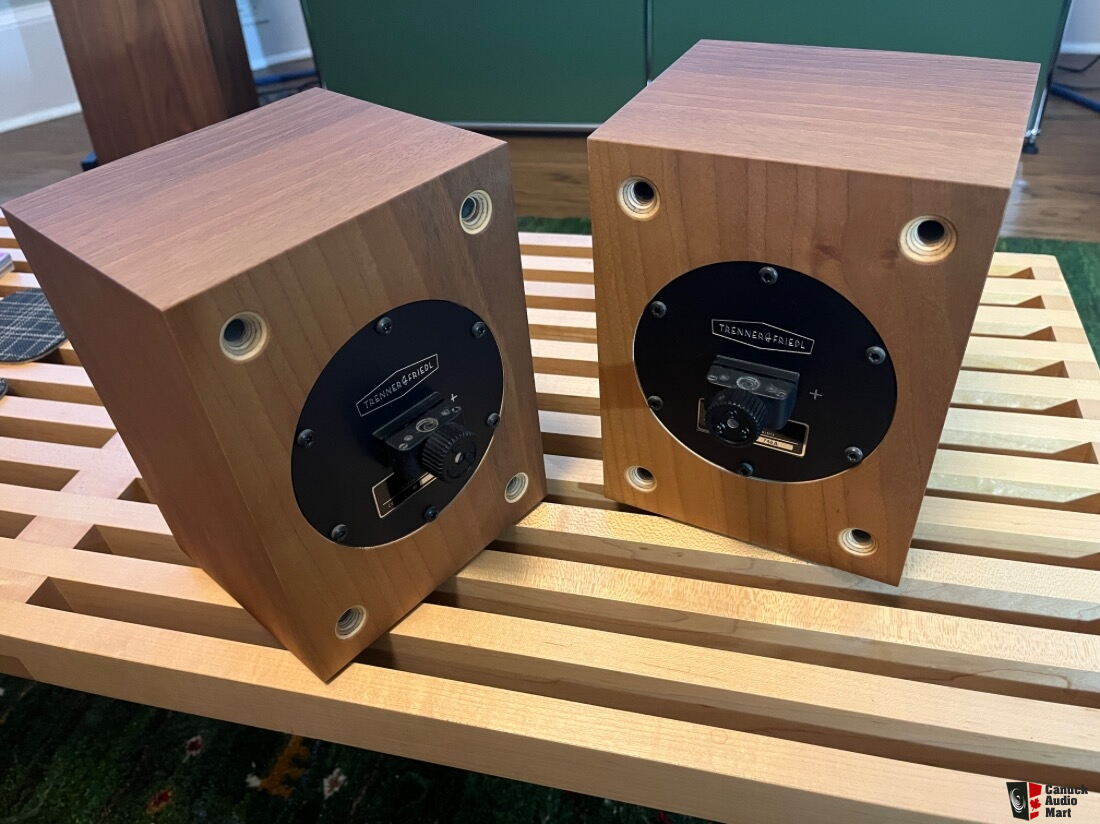 Trenner & Friedl Sun speakers for sale Photo #5902189 - Canuck Audio Mart