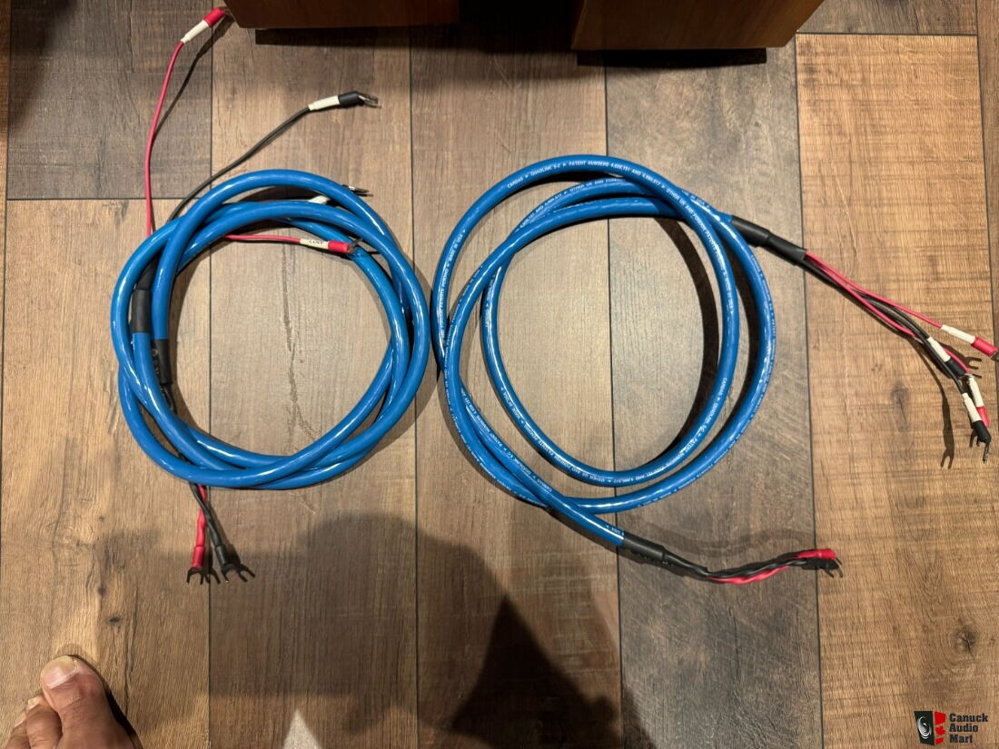 Cardas Quadlink 5C Speaker Cable 8Ft For Sale - Canuck Audio Mart
