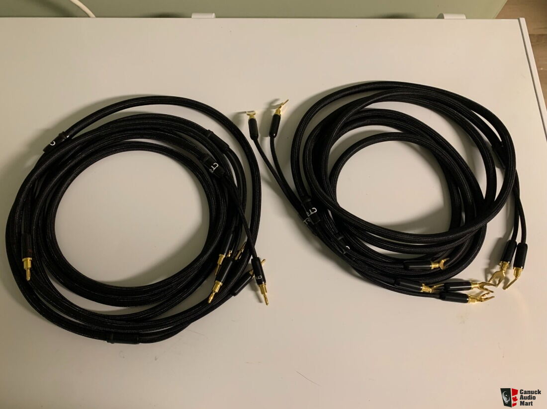 CTRL Custom Speaker Cables 8ft, 2 Sets Photo #5905830 - Canuck Audio Mart