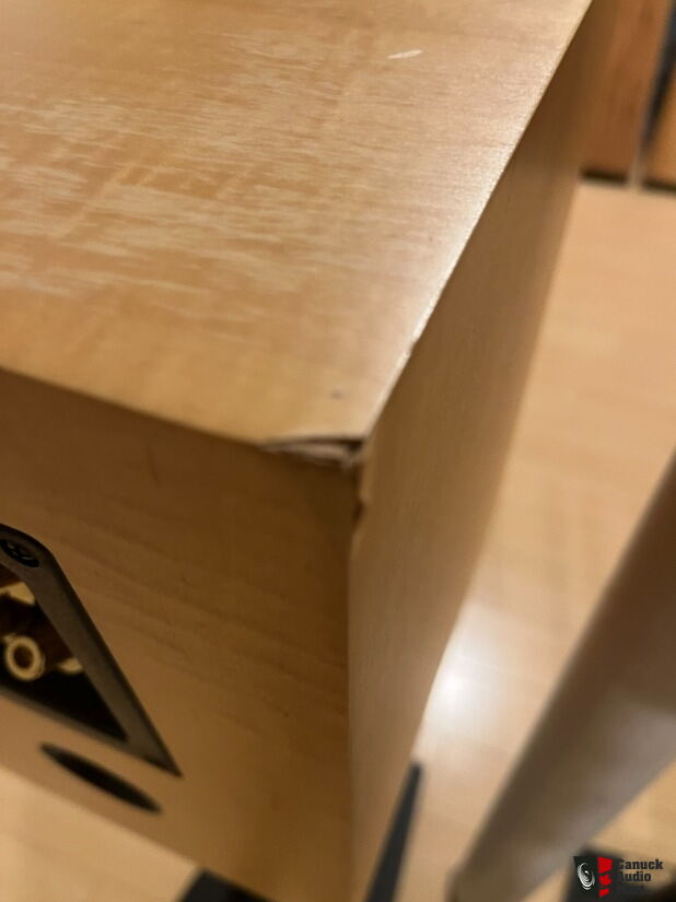 Red Rose R3 with stands Photo #5913688 - Canuck Audio Mart