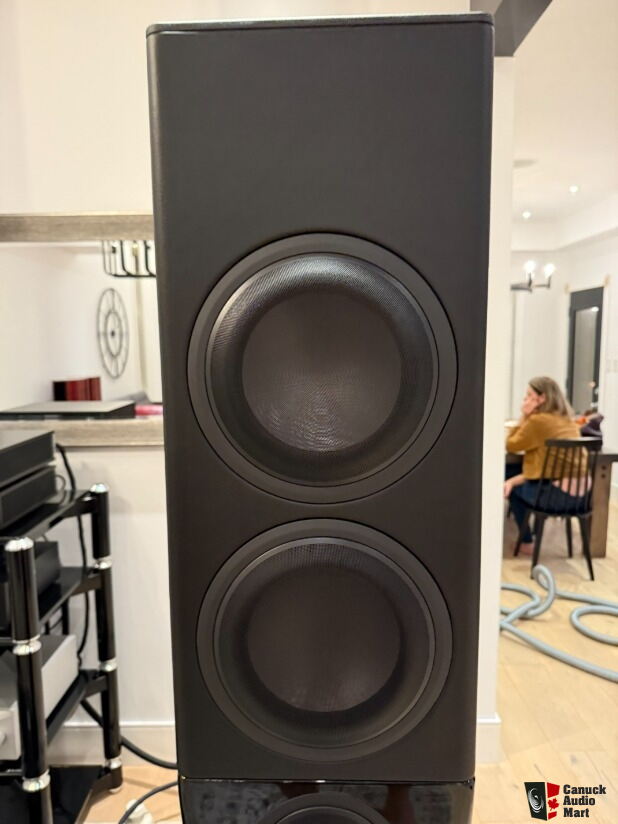 Monitor Audio Platinum PL500 II - Flagship Reference Tower Loudspeakers ...