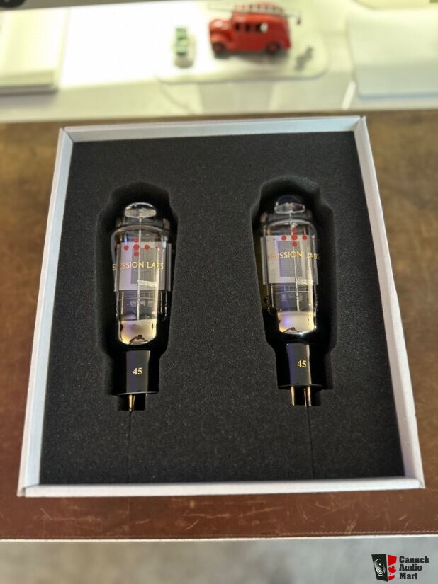 ALAN EATON Type 45 SET Tube Amplifier - MINT USA. Optional EML Mesh 45 ...