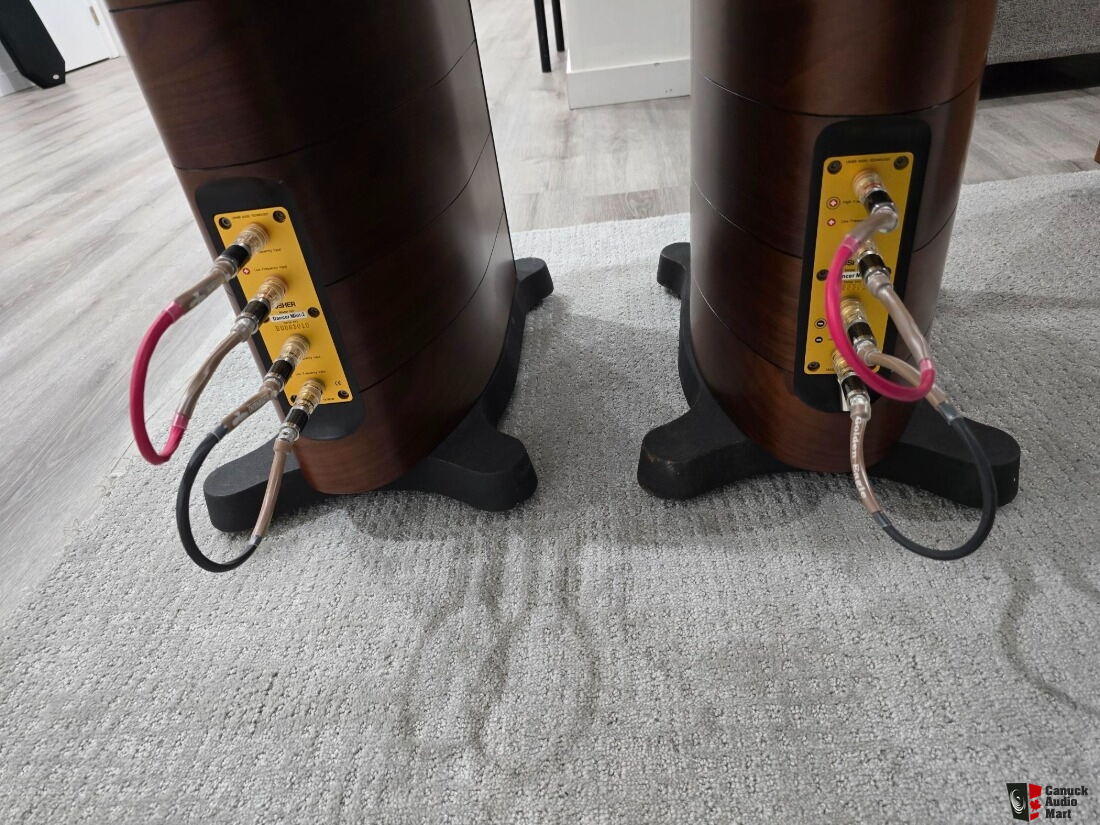 Usher Dancer Mini Two floorstanding speakers Photo #5923660 - Canuck ...