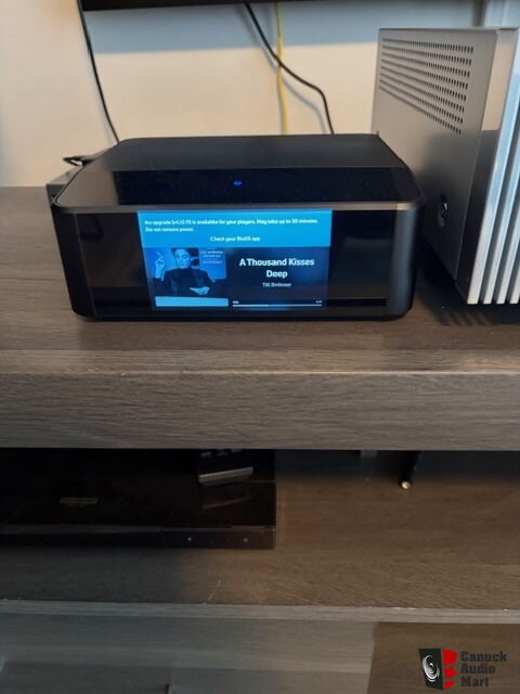 Bluesound Node Icon or Node N130 Photo #5927209 - Canuck Audio Mart