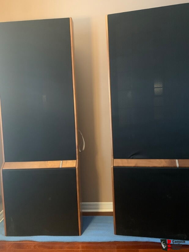Martin Login Monolith ESL Photo #5933361 - Canuck Audio Mart