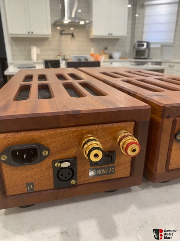 North Audio MB30 mono bloc Photo #5934131 - Canuck Audio Mart