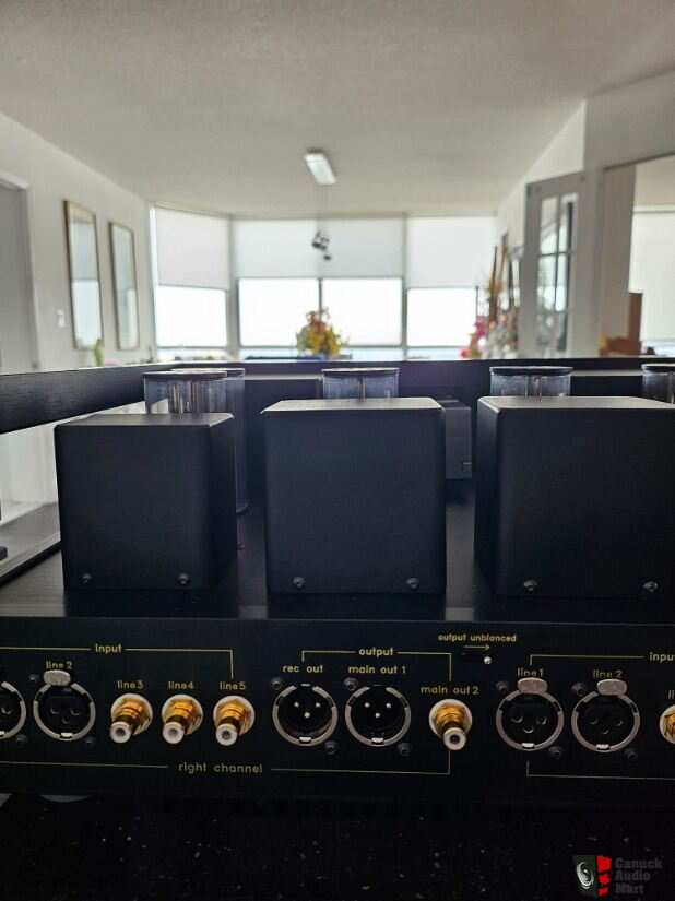 Allnic L3000 Preamp ***Superb Condition Photo #5939436 - Canuck Audio Mart