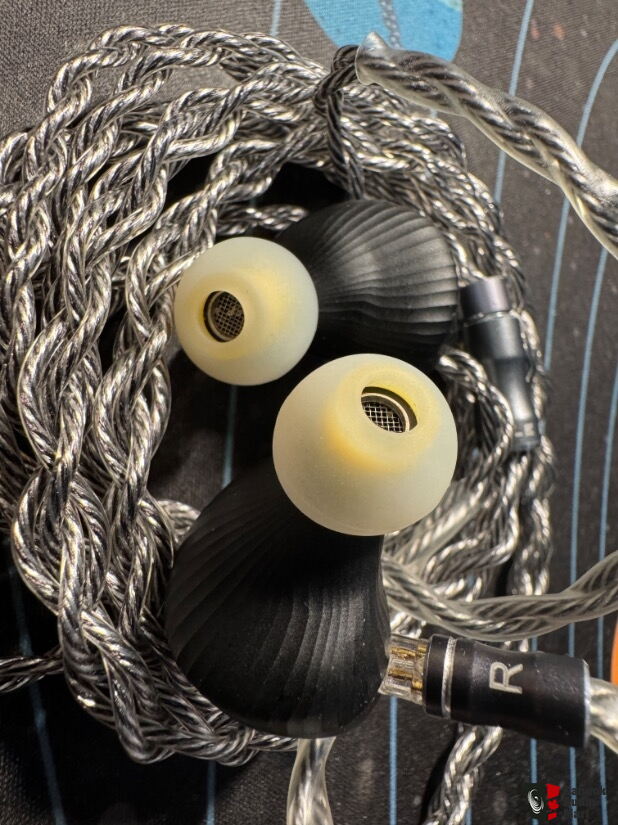 Noble Audio Viking Ragnar Photo #5946100 - Canuck Audio Mart