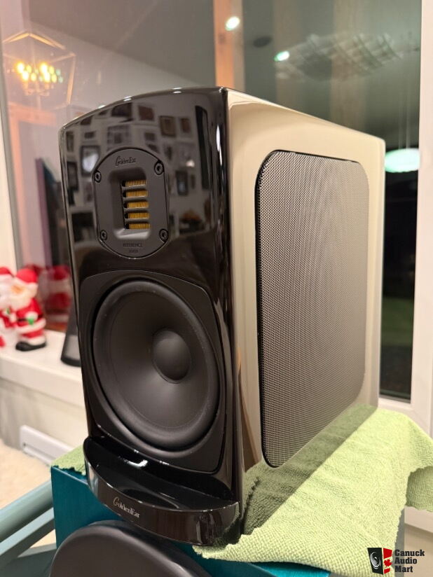 Goldenear BRX Reference monitors Photo #5947718 - Canuck Audio Mart
