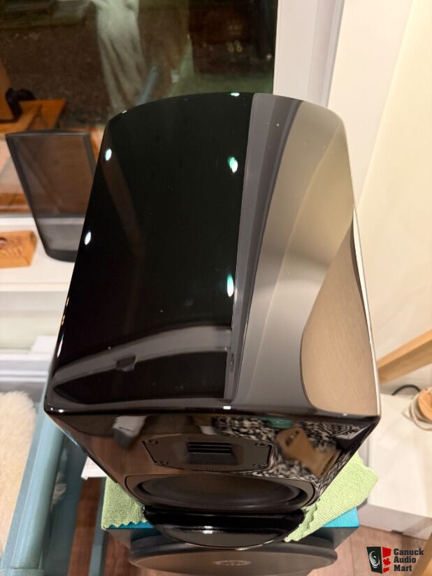 Goldenear BRX Reference monitors Photo #5947720 - Canuck Audio Mart