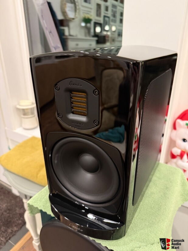 Goldenear BRX Reference monitors Photo #5947721 - Canuck Audio Mart