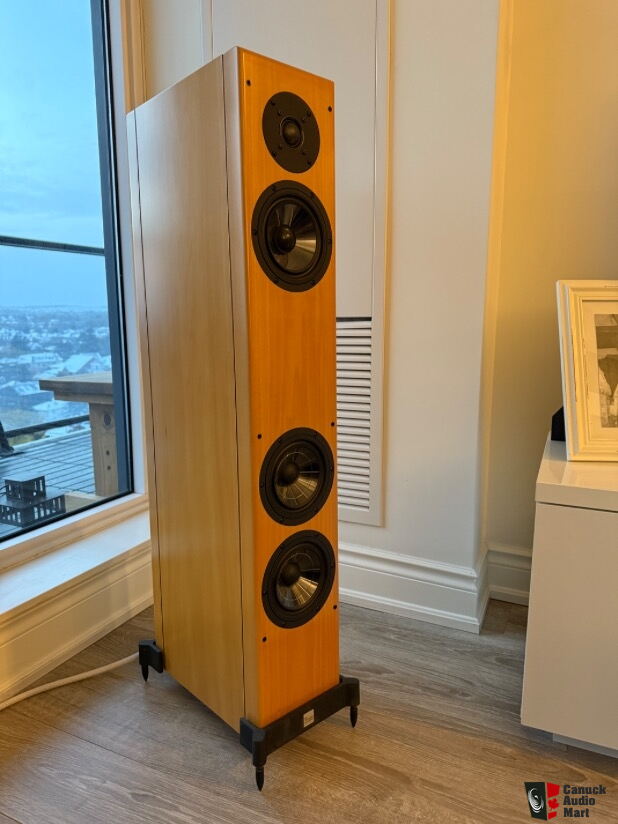 Vienna acoustics Beethoven baby grand speakers Photo #5947761 - Canuck ...