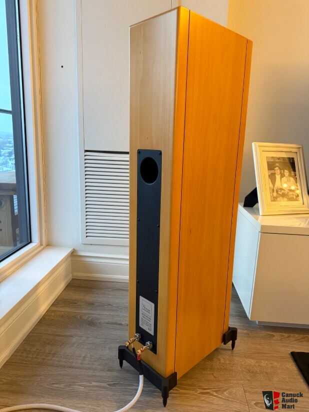Vienna acoustics Beethoven baby grand speakers Photo #5947761 - Canuck ...