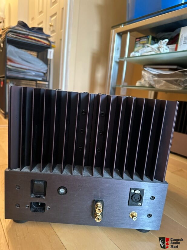 Very much "sought after" PASS ALEPH ZERO MONOBLOCK Amplifiers Photo ...