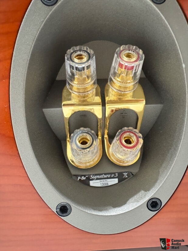 Paradigm Signature C3 V3 Center Channel Photo #5950125 - Canuck Audio Mart